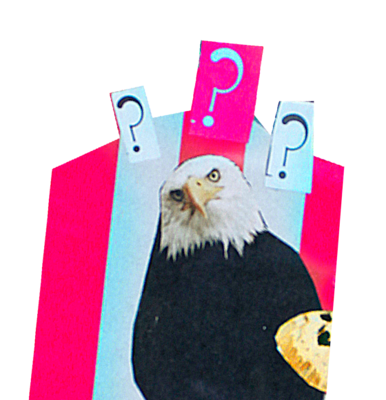 adler - Carl Hofer Schule